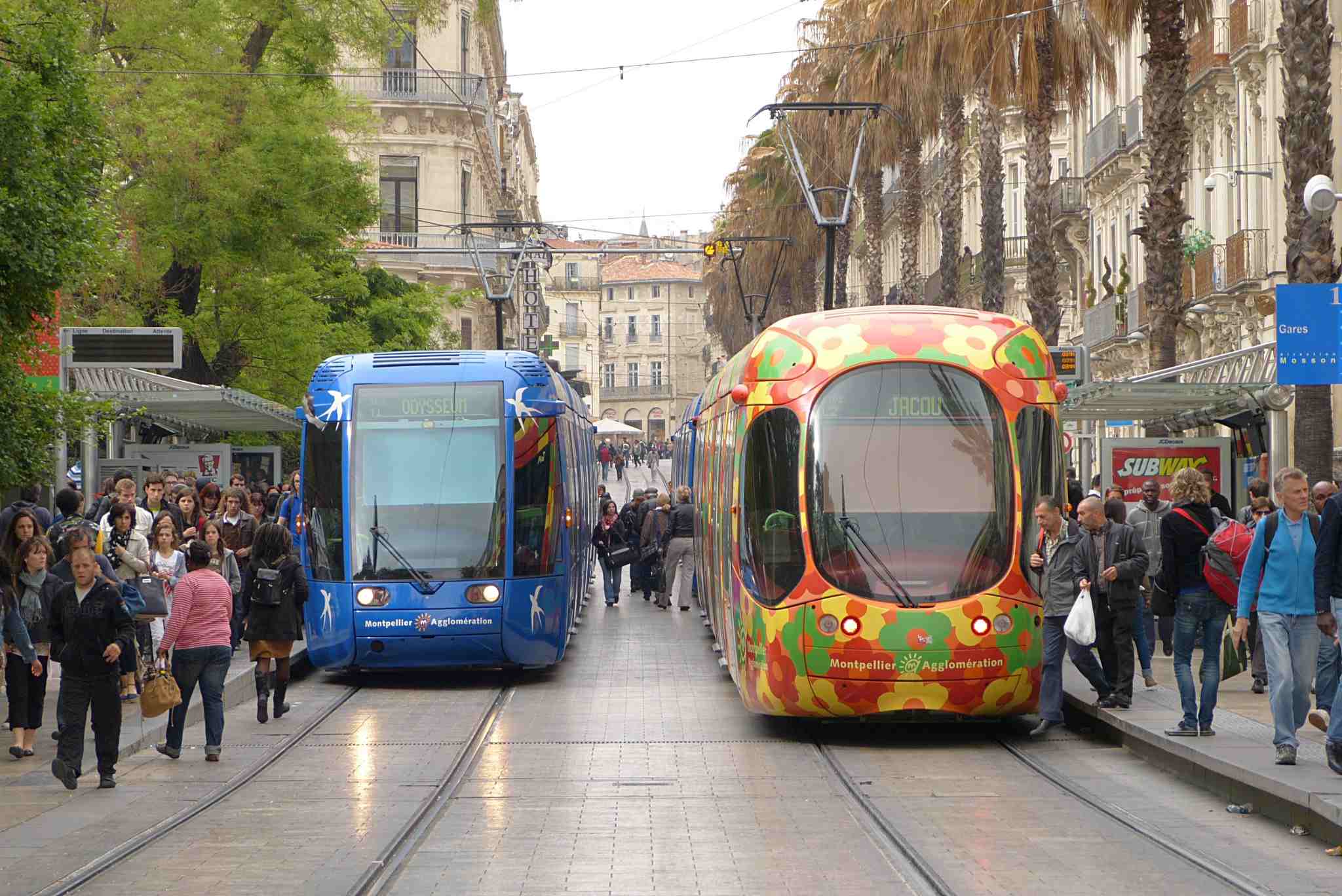 Horaire Tram Montpellier 2025 – Accueil – Ligne De Bus